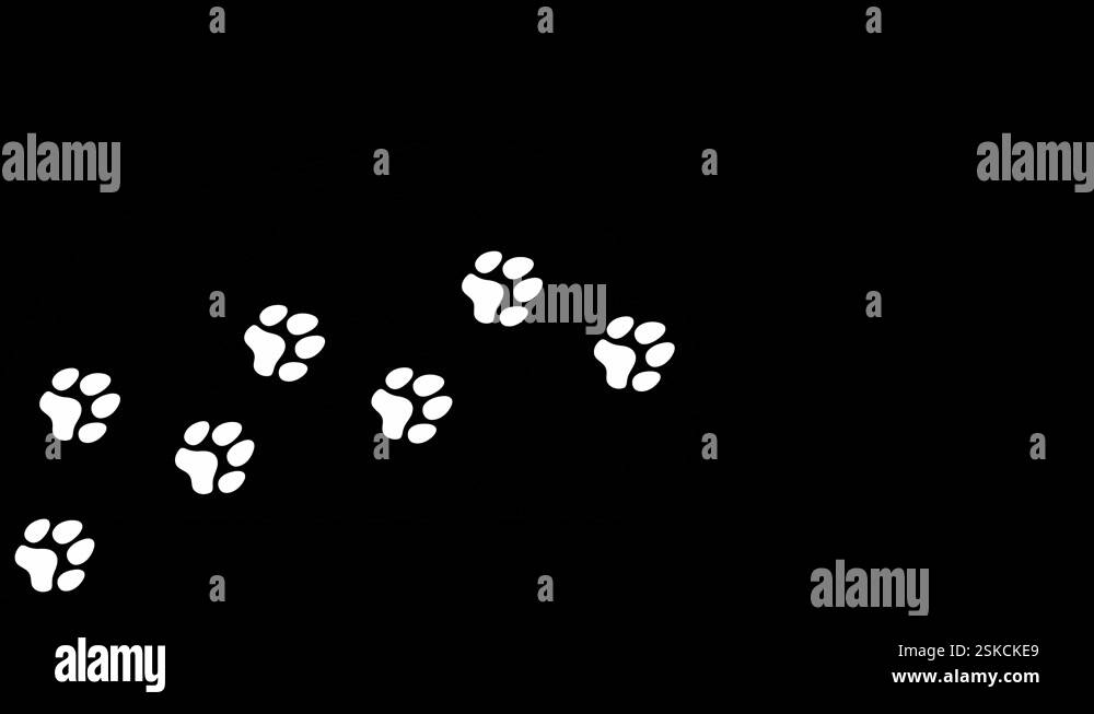 Animation: a trail of white footprints (comics silhuoette shapes) on a ...