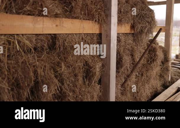 Hay bales, Barn interior, Rustic scene. Stack hay bales neatly arranged ...