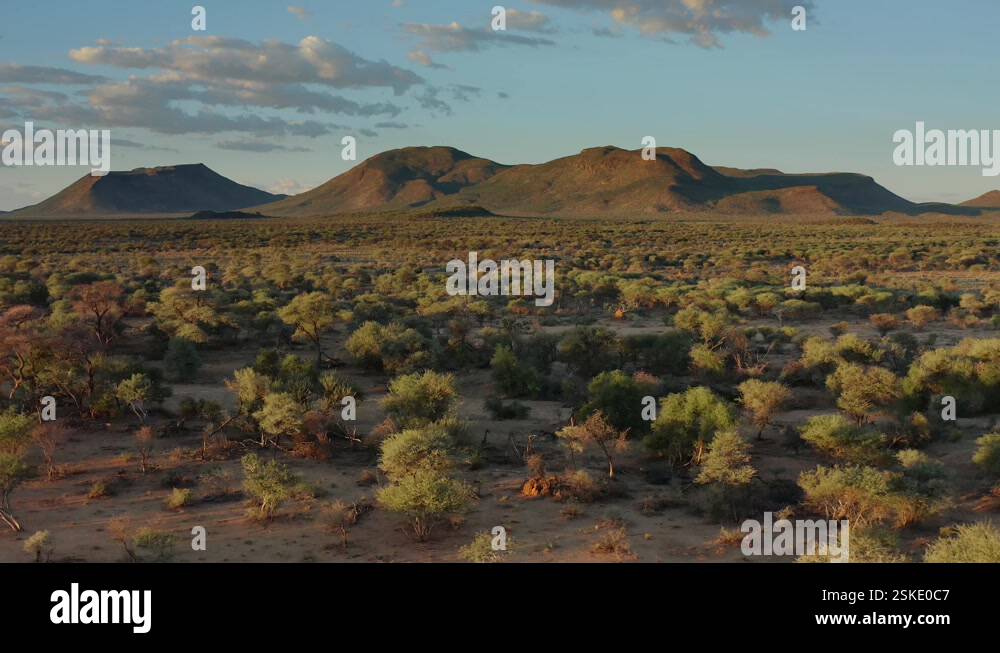 Savannah light Stock Videos & Footage - HD and 4K Video Clips - Alamy