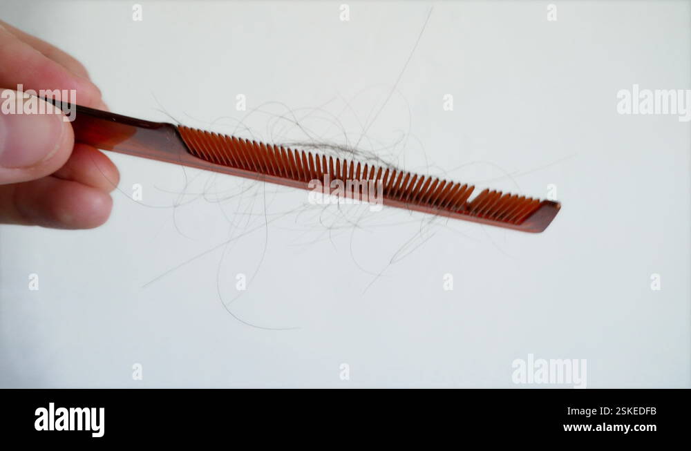 Hairball problem Stock Videos & Footage - HD and 4K Video Clips - Alamy
