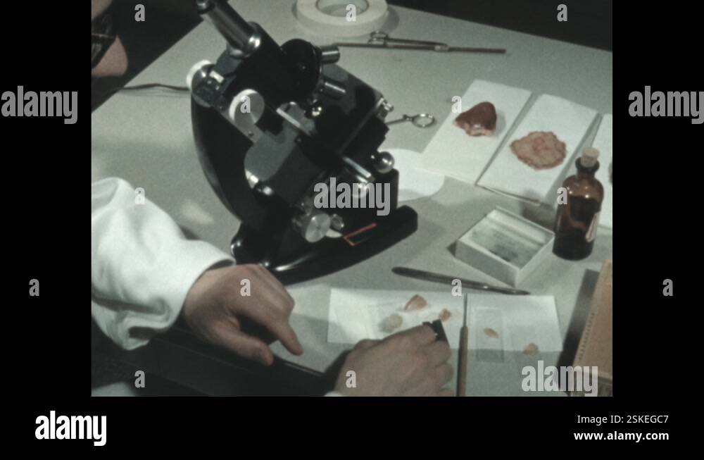 1960s: Lab. Man prepares slide for microscope. Tissue samples Stock ...