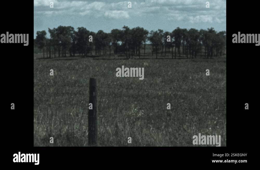 1960s farm field Stock Videos & Footage - HD and 4K Video Clips - Alamy