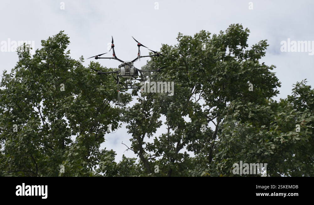Large drone sprays trees in forest from pests with chemicals Stock ...