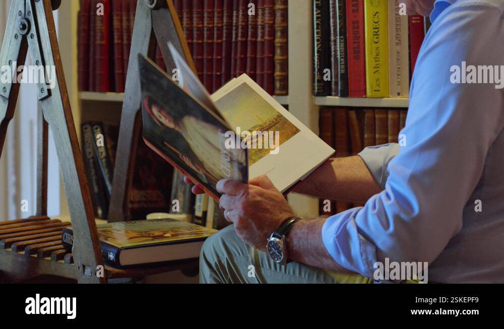 Historian art Stock Videos & Footage - HD and 4K Video Clips - Alamy