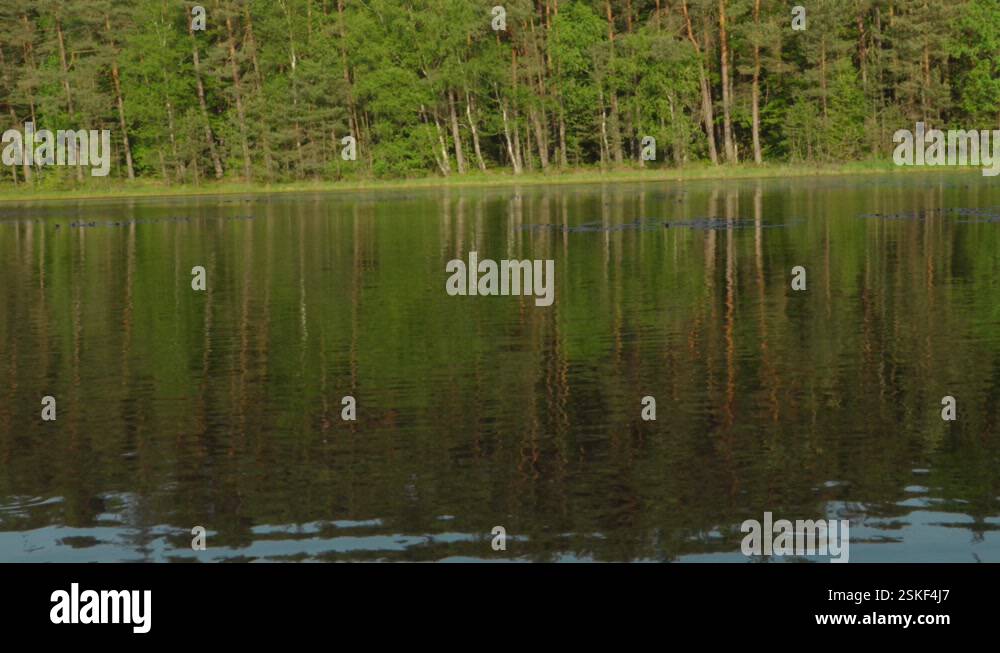Break reflection Stock Videos & Footage - HD and 4K Video Clips - Alamy