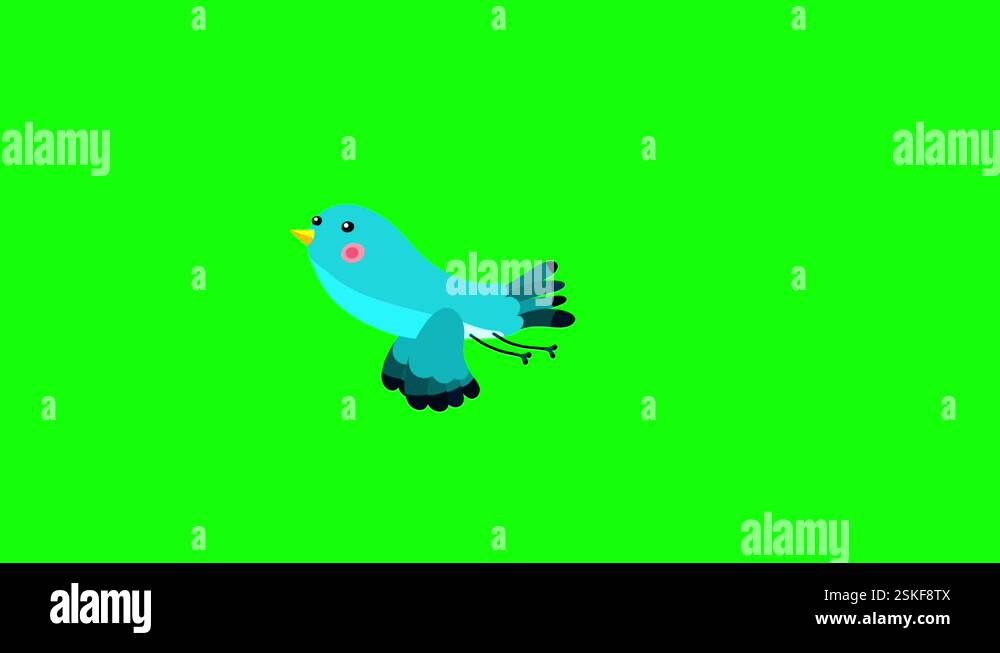 Blue nightingale Stock Videos & Footage - HD and 4K Video Clips - Alamy