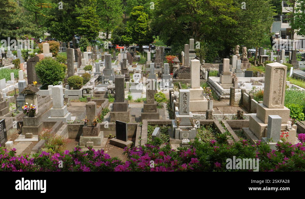 Graves gravestones graves death Stock Videos & Footage - HD and 4K ...
