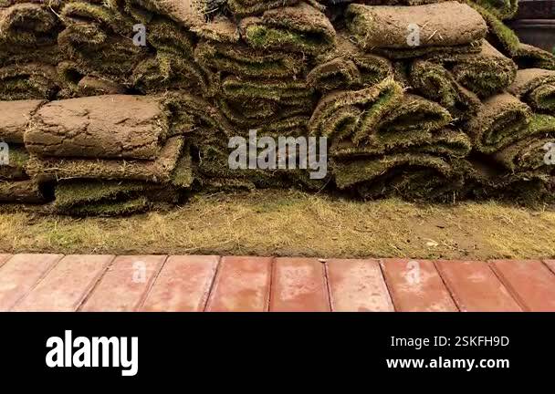 Roll in mud Stock Videos & Footage - HD and 4K Video Clips - Alamy