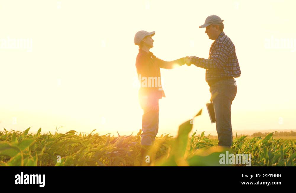 two farmers work tablet sun, farming, teamwork group people, contract ...