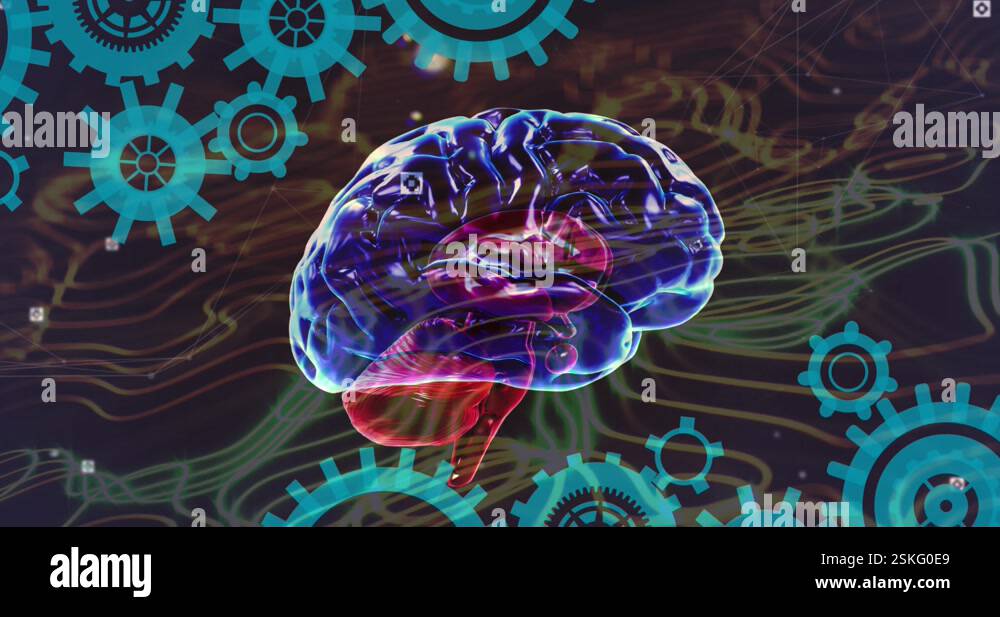Human brain cogs Stock Videos & Footage - HD and 4K Video Clips - Alamy