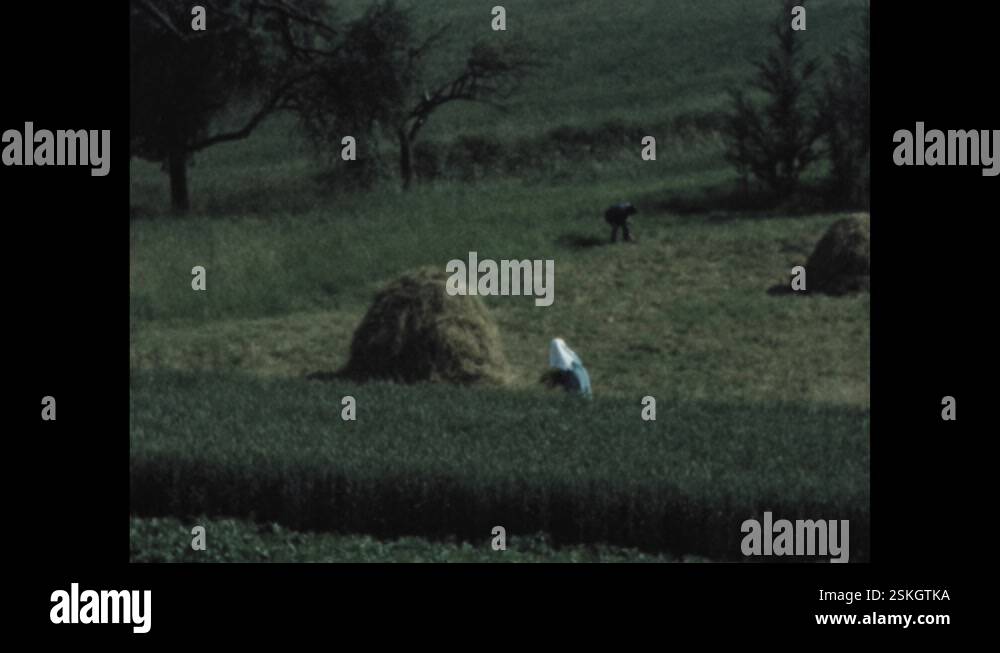 Medieval farm work Stock Videos & Footage - HD and 4K Video Clips - Alamy