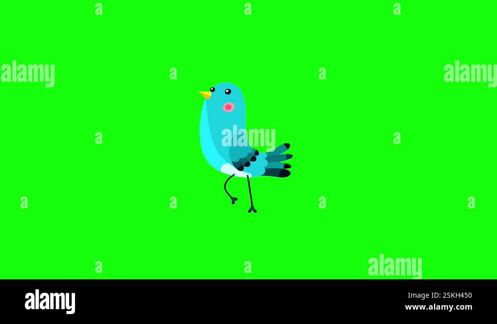 Nightingale bird blue cartoon animation character green screen non stop ...