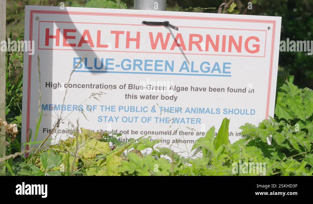 Health warning sign Stock Videos & Footage - HD and 4K Video Clips - Alamy