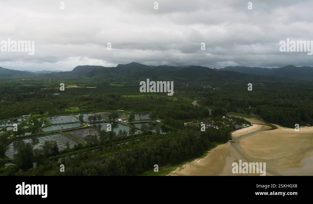 River shrimp estuary Stock Videos & Footage - HD and 4K Video Clips - Alamy