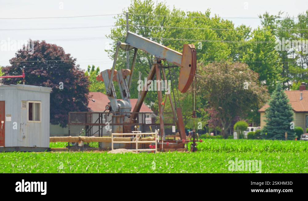 Jacks farm Stock Videos & Footage - HD and 4K Video Clips - Alamy