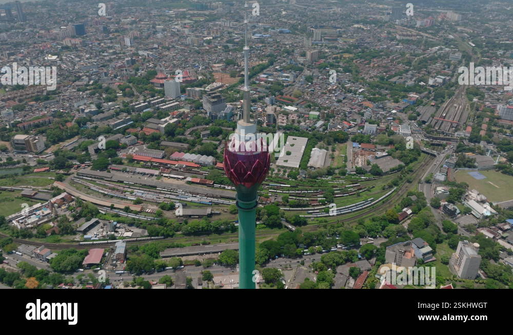 Tall lotus Stock Videos & Footage - HD and 4K Video Clips - Alamy