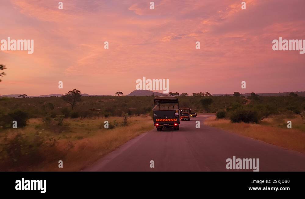 Animals in trucks Stock Videos & Footage - HD and 4K Video Clips - Alamy