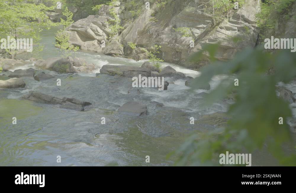 Nature reserve and national park Stock Videos & Footage - HD and 4K ...