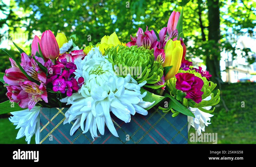 Beautiful flowers in gift Stock Videos & Footage - HD and 4K Video ...