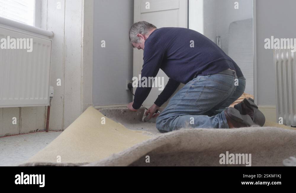 Carpenter cutting and removing old carpet from room ready for ...