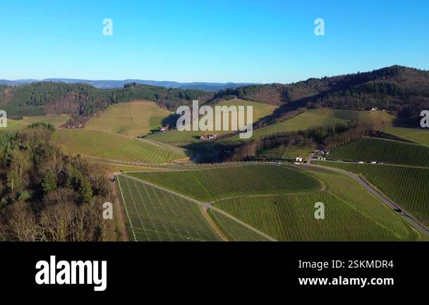 Beautiful aerial drone shot capturing vast vineyards spread across ...