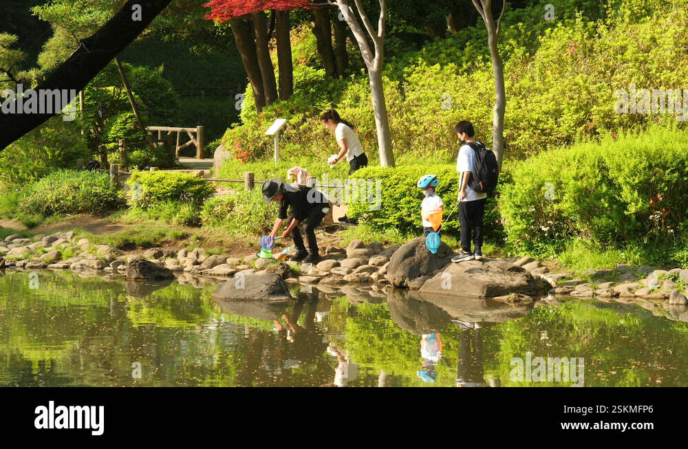 Tokyo japan japanese environment Stock Videos & Footage - HD and 4K ...