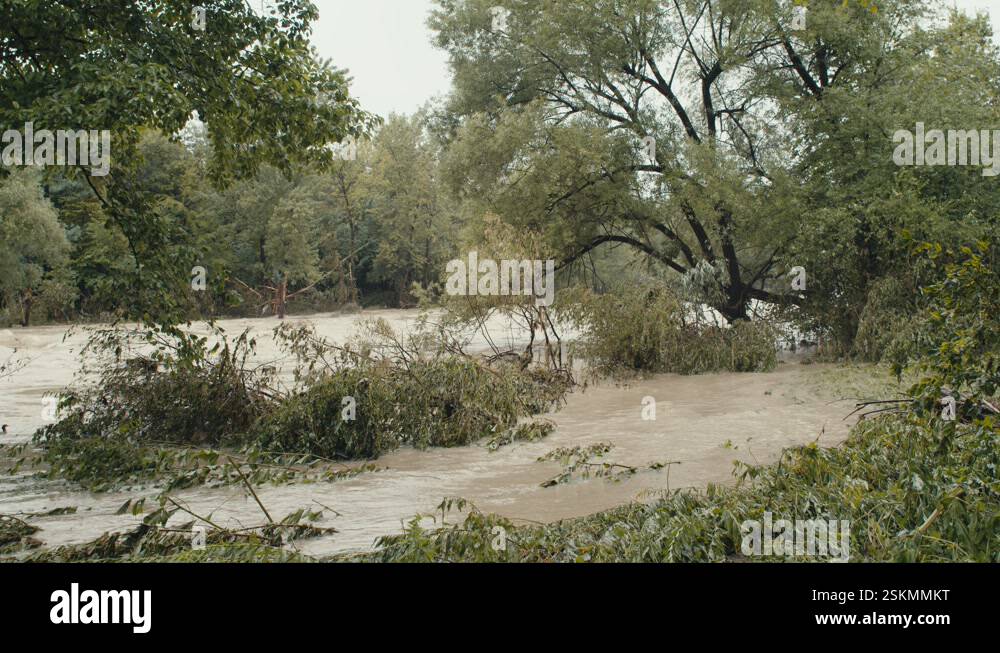 River floods riverbed overflows trees brown water flow in slow motion ...