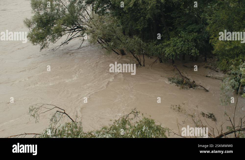 Risen river water flooding trees Stock Videos & Footage - HD and 4K ...