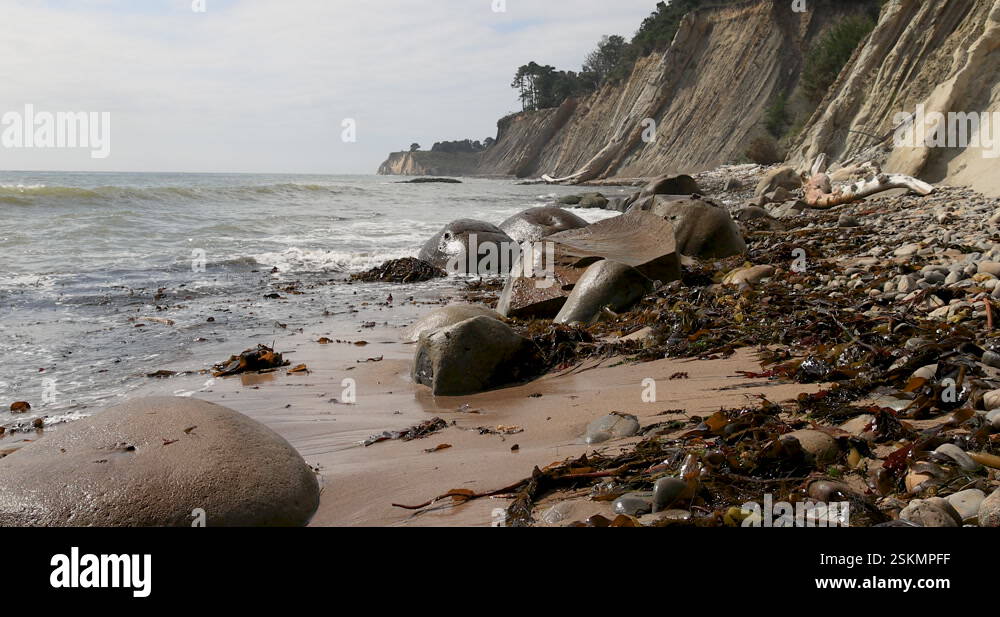 Bowling Ball beach cliff rocks seaweed northern California 4K Stock ...