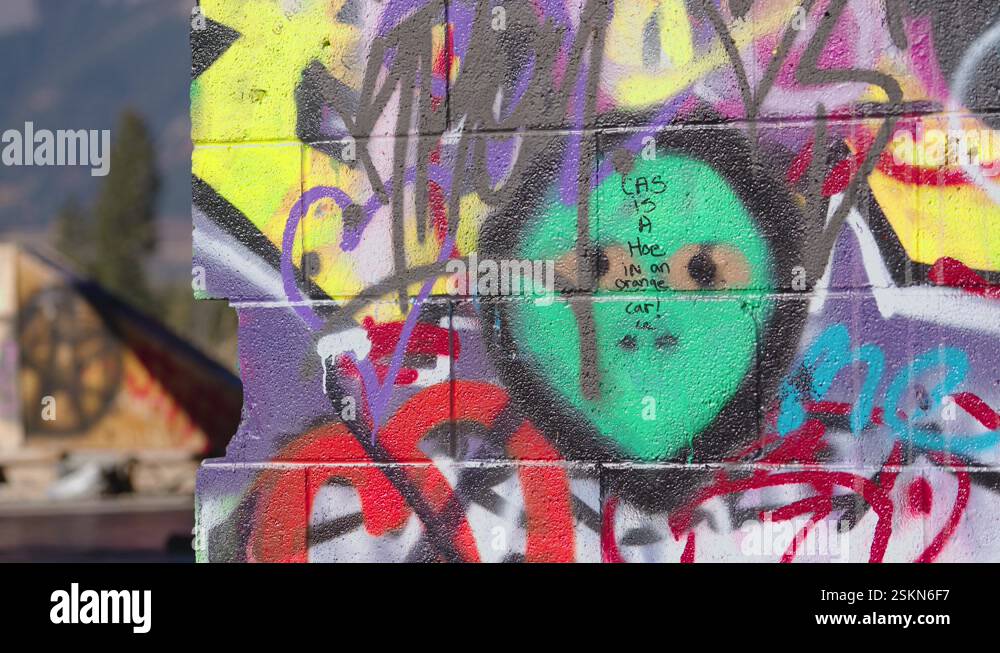 A Graffiti Painted Green Alien Head on a Concrete Wall in the Abandoned ...