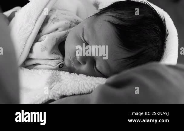 Portrait of life stages Stock Videos & Footage - HD and 4K Video Clips ...