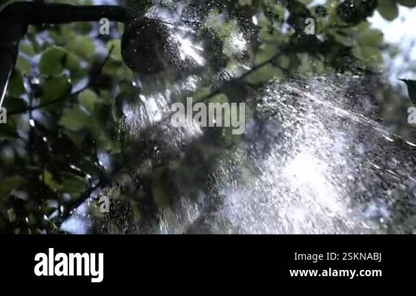 Sunlit water spray from a showerhead in slow-motion at 1000 fps ...