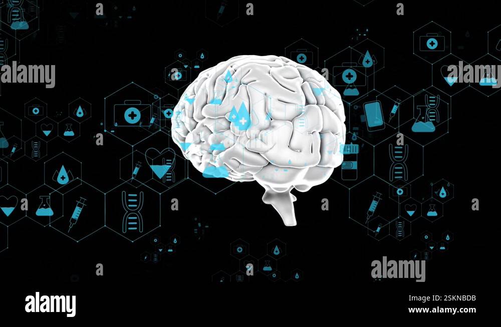 Animation human brain medical icons Stock Videos & Footage - HD and 4K ...