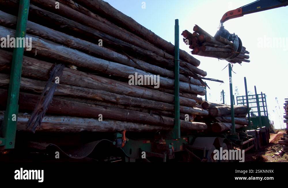 Lumber carrier Stock Videos & Footage - HD and 4K Video Clips - Alamy