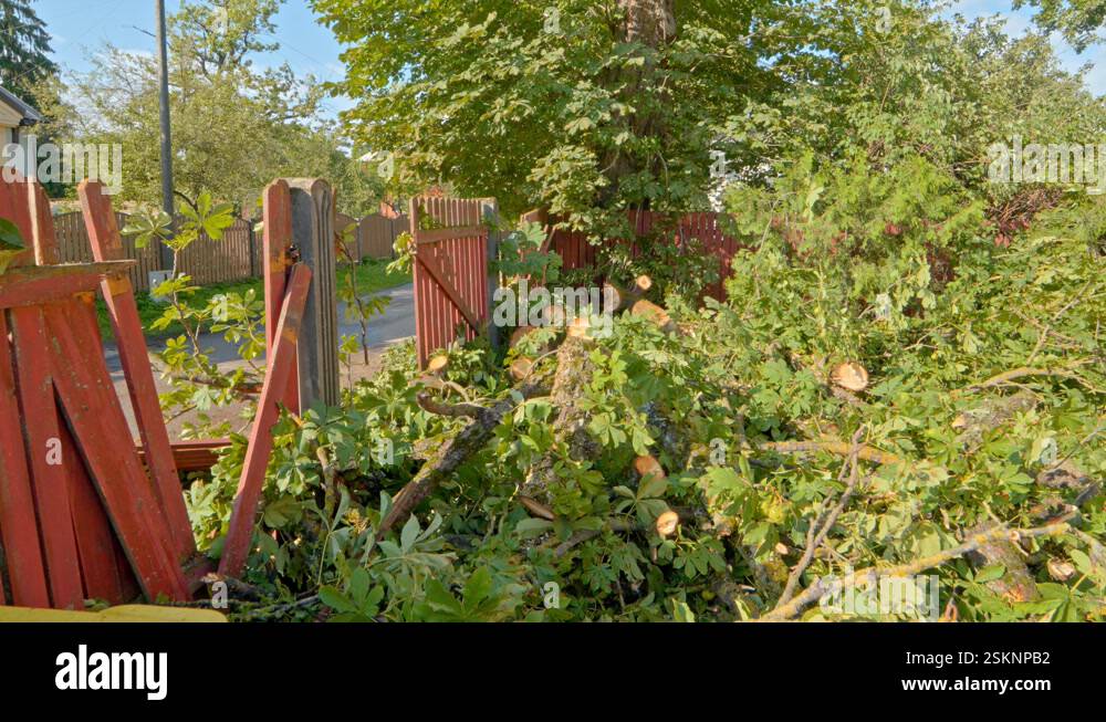 Broken fence neighborhood Stock Videos & Footage - HD and 4K Video ...