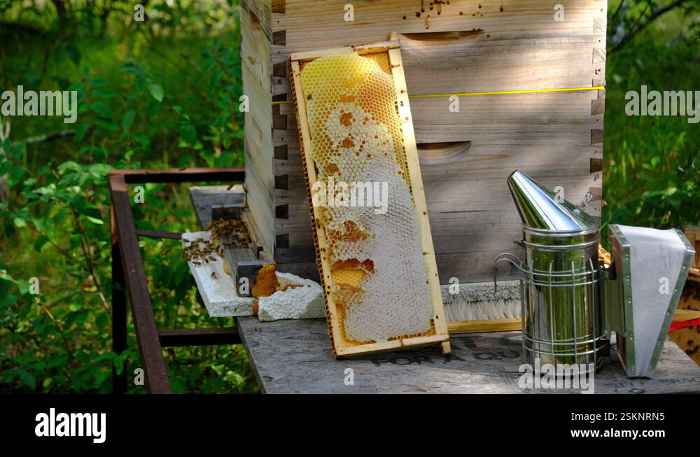 Honey plaster Stock Videos & Footage - HD and 4K Video Clips - Alamy