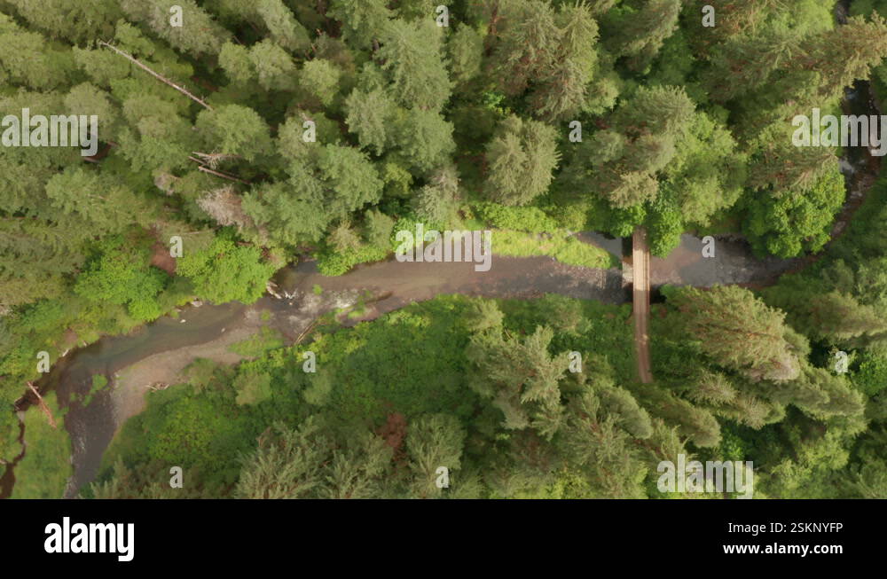 Top down aerial slider shot over a river bridge in a forest Stock Video ...