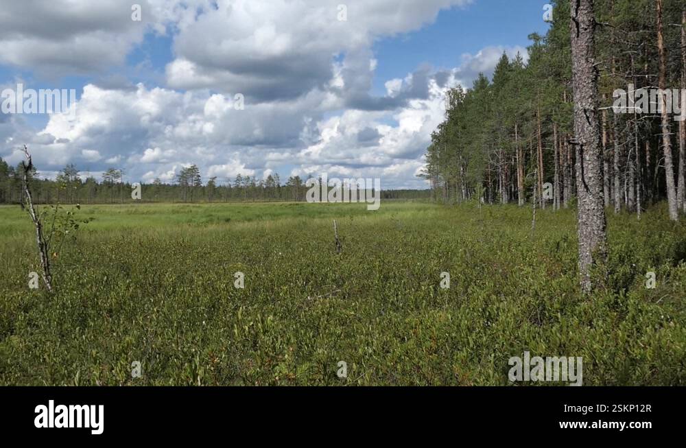 Preserved natural area Stock Videos & Footage - HD and 4K Video Clips ...