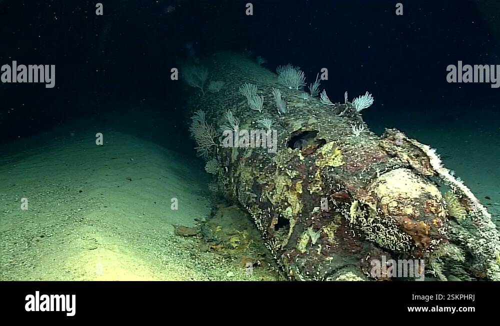 Uss ward Stock Videos & Footage - HD and 4K Video Clips - Alamy