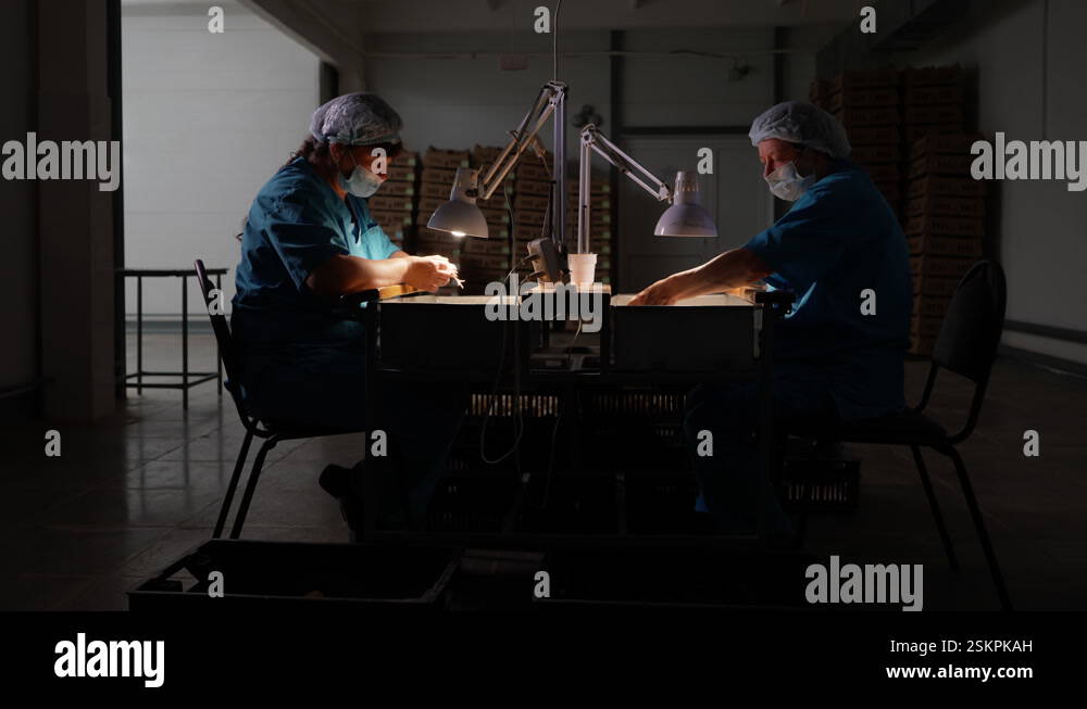 Workers health check Stock Videos & Footage - HD and 4K Video Clips - Alamy