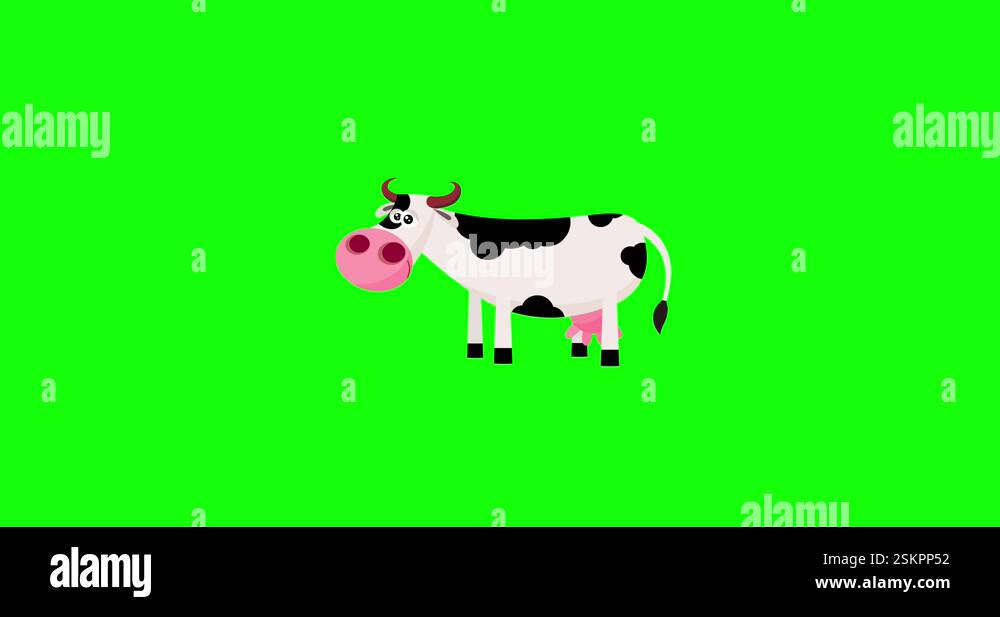 Cartoon medium spotty speckled black and white 1 cow character walk ...