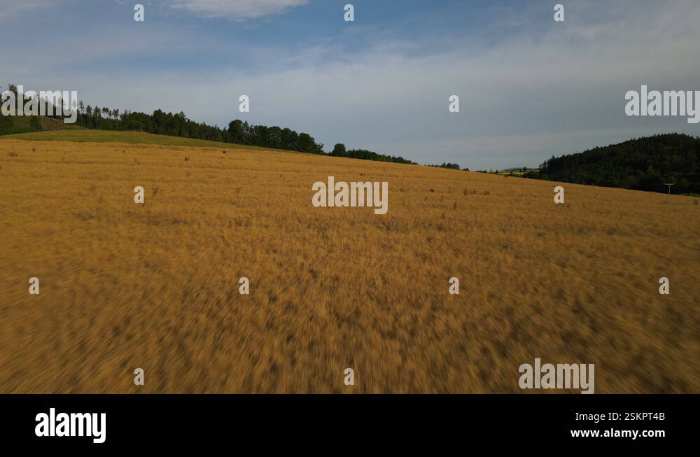 Farm house wheat plantation Stock Videos & Footage - HD and 4K Video ...