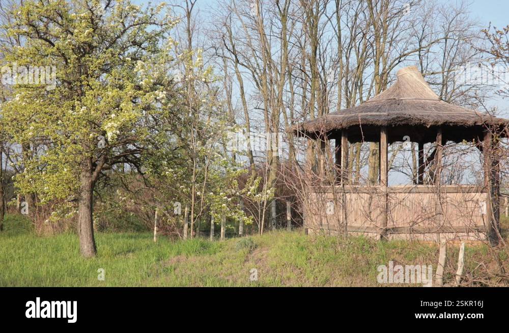 House reed roof Stock Videos & Footage - HD and 4K Video Clips - Alamy
