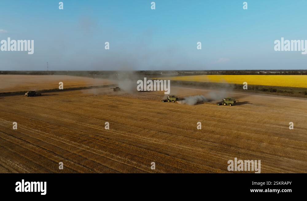 Harvesters works in the field. Combine harvester with straw chopper ...