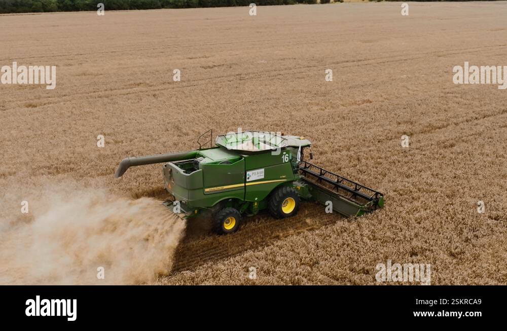 Grain harvester at work. Combine harvester with straw chopper works in ...