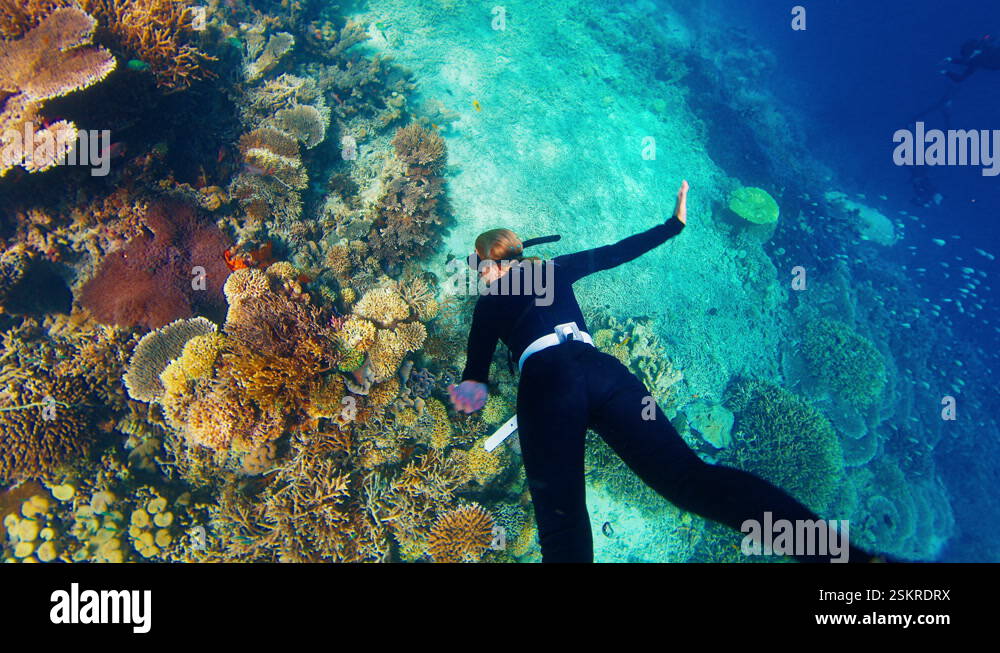 Female freediver swims underwater and explores vivid and healthy coral ...
