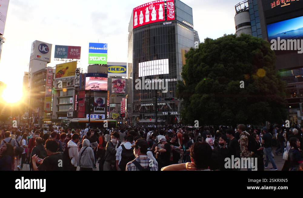SHIBUYA, TOKYO, JAPAN : Crowd of people walking at Shibuya crossing in ...
