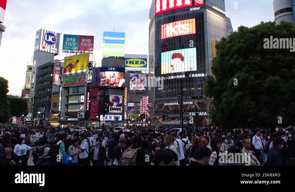 SHIBUYA, TOKYO, JAPAN : Crowd of people walking at Shibuya crossing in ...
