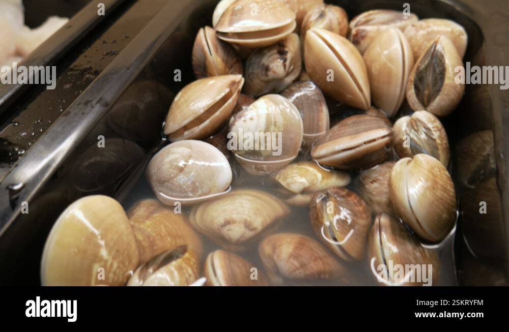 Clams in seafood bar at buffet restaurant in Pattaya Thailand Stock ...