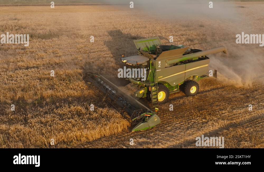 Grain harvester at work. Combine harvester with straw chopper works in ...